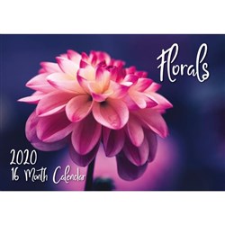 Calendars | OfficeMax NZ